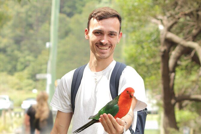 Small-Group Great Ocean Road Classic Day Tour from Melbourne - Practical Aspects of the Tour