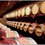 Small Group - Half-Day Hawke's Bay Winery Tour - Who Would Love This Tour?