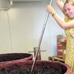 Small Group Hunter Valley Wine Tour + Lunch, Gin & Choc ex Sydney - What’s Included and How It Adds Value