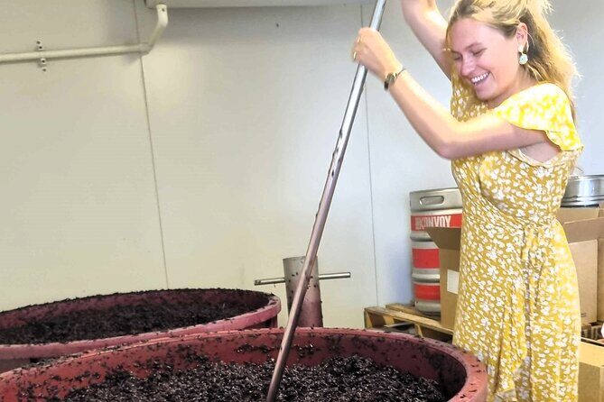 Small Group Hunter Valley Wine Tour + Lunch, Gin & Choc ex Sydney - What’s Included and How It Adds Value