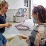 Small Group Hunter Valley Wine Tour w Lunch, Gin, Cheese & Choc