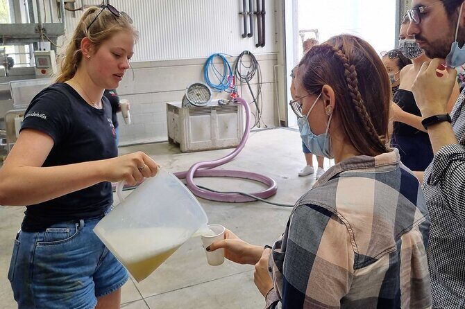 Small Group Hunter Valley Wine Tour w Lunch, Gin, Cheese & Choc - The Sum Up: Who Will Love This Tour?