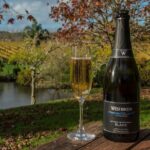 Small-Group Kumeu Wine Country Tour with Wine Tastings & Lunch - What to Expect at Each Stop