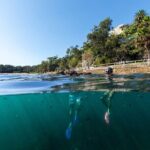 Small Group Manly Snorkel Tour and Nature Walk with Local Guide - Why This Tour Works for You