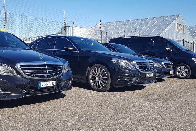 Small Group Personalised Private Tours Melbourne (up to 14 pax) - Why Choose This Tour?