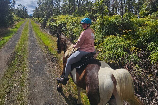 Small Group Rainforest Trail Ride - Practical Details: Making the Most of Your Rainforest Ride