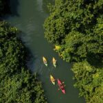Small Group River Kayaking Tour from Port Vila - The Itinerary Breakdown