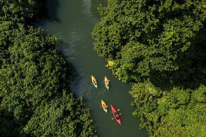 Small Group River Kayaking Tour from Port Vila - The Itinerary Breakdown