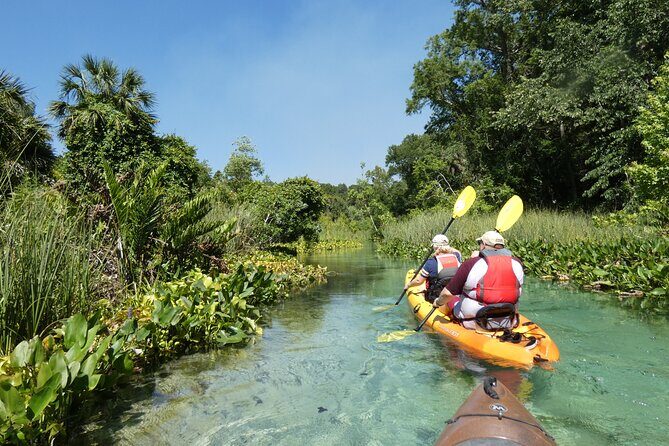 Small Group Rock Springs Run Eco Kayak Adventure - Exploring the Itinerary in Detail