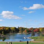 Small-Group Sightseeing Tour of Montreal - A Deep Dive into the Tour Experience