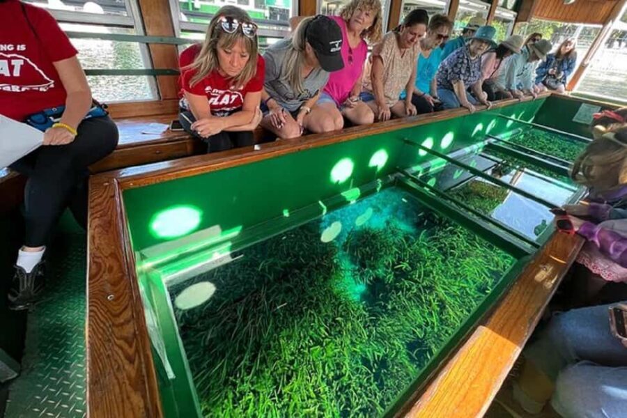 Small Group Silver Springs State Park Day Tour from Orlando - The Practical Side: What to Know Before You Go
