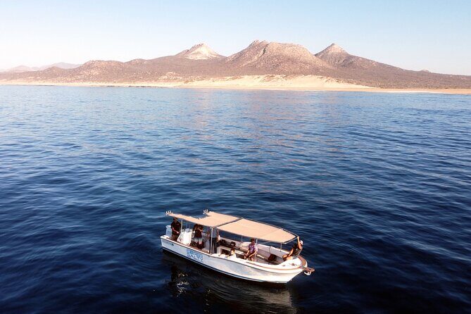 Small-Group Snorkel Adventure in San Jose del Cabo - Why This Tour Offers Great Value for Money