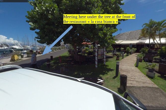 Small group snorkeling (5 people max): Turtles at 7:30am - What You Can Expect in Terms of Marine Life