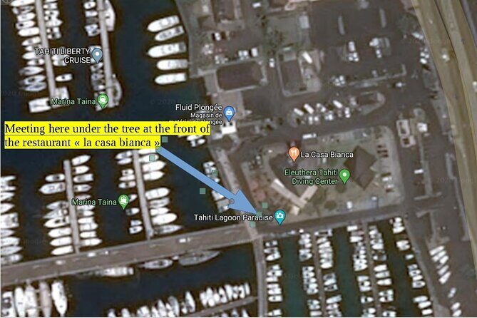 Small group snorkeling (5 people max): wrecks & tropical fishes at 1:00pm - What makes this snorkeling tour special?