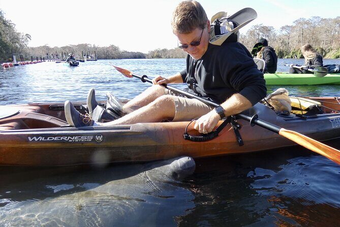 Small Group Sunset Paddle Among Manatees near Orlando - Who Will Enjoy This Tour?