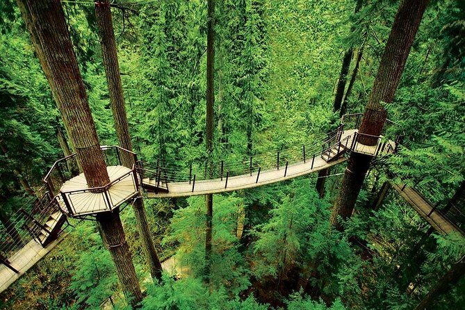 Small Group Tour: Vancouver Sightseeing and Capilano Suspension Bridge - What to Expect from the Vancouver Sightseeing and Capilano Suspension Bridge Tour