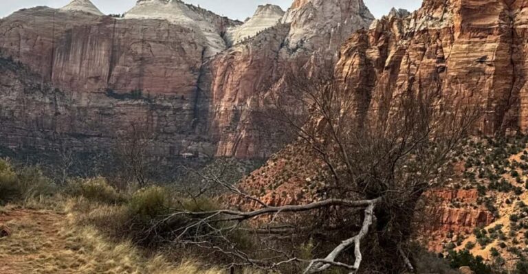 Small Group Tour Zion Bryce Canyon National from Las Vegas - The Guided Experience: Experts Who Know Their Stuff