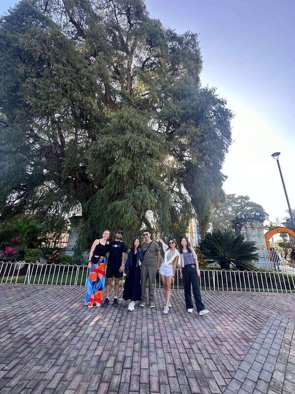 Small group tours: Hierve el Agua, Mezcal, Teotitlán, Mitla and Tule. - An In-Depth Look at the Tour Experience