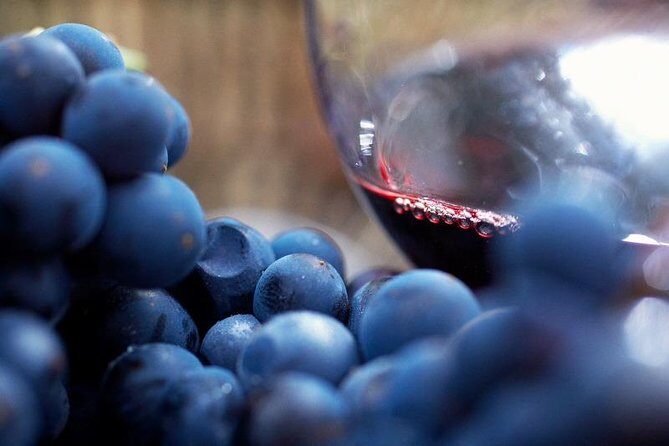 Small Group: Ultimate Yarra Valley Food and Wine - Summary: Who Will Love This Tour?