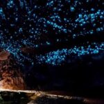 Small-Group Waitomo Glowworm Caves Day Tour from Auckland - Who Will Love This Tour?