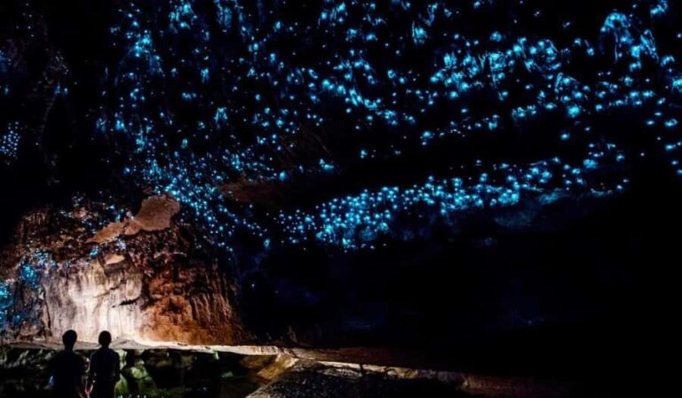 Small-Group Waitomo Glowworm Caves Day Tour from Auckland - Who Will Love This Tour?