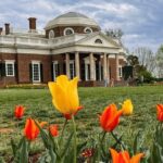 Small Group Washington DC to Thomas Jefferson Monticello Day Tour - The Value of This Tour