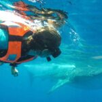 Small Group Whale Shark Encounter - 10 years in business - Practical Tips for Your Whale Shark Adventure