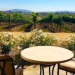 Small Group Wine Tour to Temecula from Los Angeles - Detailed Breakdown of the Itinerary