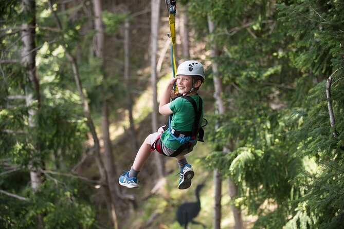 Small-Group Zipline Adventure in Queenstown - The Sum Up
