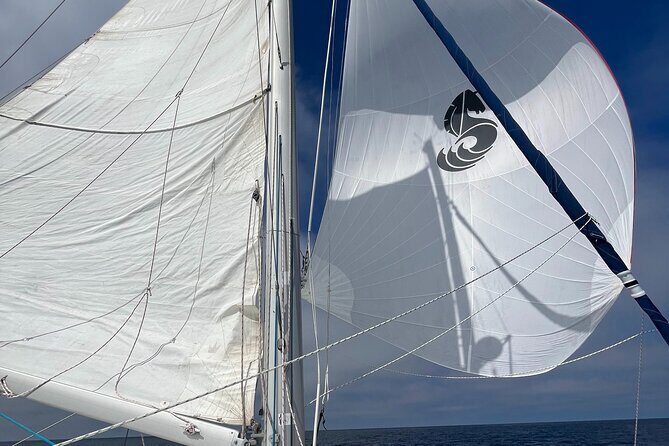 Small Private Catamaran Sunset Tours in San Diego - Final Thoughts: Is It Worth It?