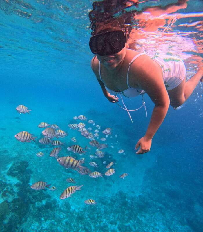 Snorkel along the coast with Chivis Del Mar. - The Itinerary Breakdown