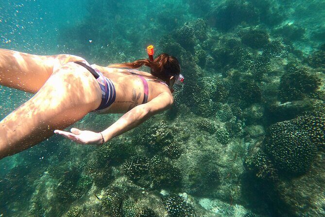 Snorkel and Whale Platinum Tour (Dec 15- Apr 15) - Who Should Consider This Tour?