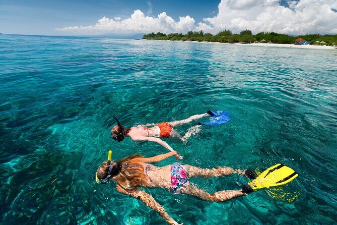 Snorkel at the beautiful Puerto Morelos Reef, Lunch & transport - Authentic Experiences from Reviews