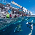 Snorkel & Dive the Reef: Sustainable, Scientific & Cultural Tour - How the Tour Stands Out