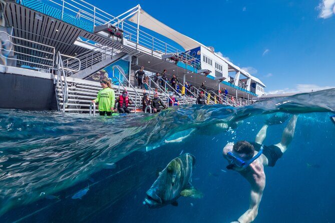 Snorkel & Dive the Reef: Sustainable, Scientific & Cultural Tour - How the Tour Stands Out