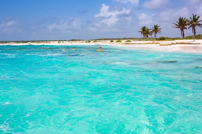 Snorkel in Paradise Cozumel El Cielito Palancar Reef Colombia - The Guide and Group Experience
