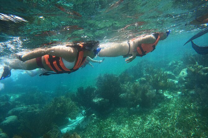 Snorkel in the beautiful reef of Puerto Morelos with transport - What’s Included and What’s Not