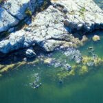 Snorkel, Kayak, and Seal Adventure: Vancouver Boat Tour - The Experience in Detail: Why It Stands Out