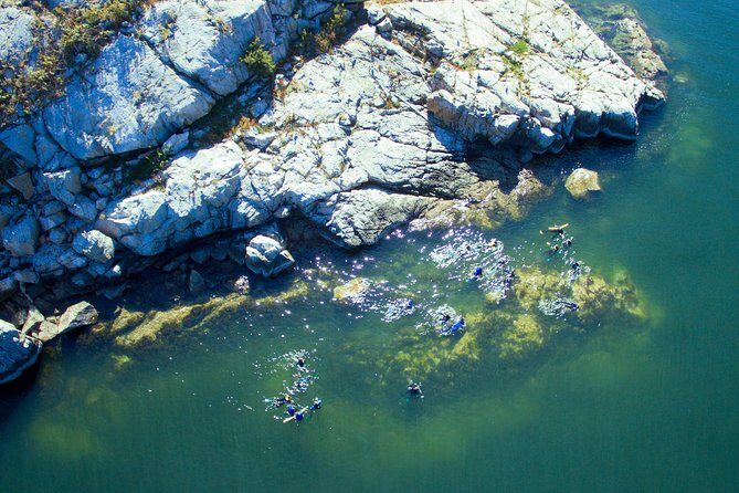 Snorkel, Kayak, and Seal Adventure: Vancouver Boat Tour - The Experience in Detail: Why It Stands Out