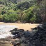 Snorkel to Playa del Toro departing from Sayulita : day at the beach - Who this tour is perfect for