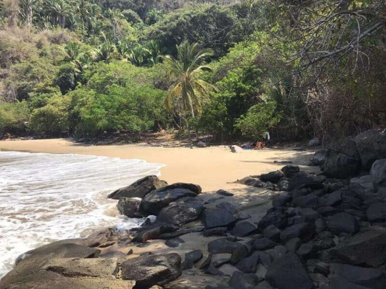 Snorkel to Playa del Toro departing from Sayulita : day at the beach