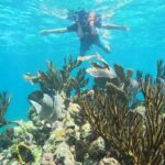 Snorkel Tour on the Costa Maya with experienced Guid - Why This Tour Shines