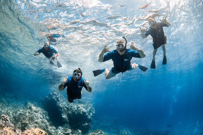 Snorkel with Turtles and Free Underwater Photos Lahaina - The Marine Life Encounter