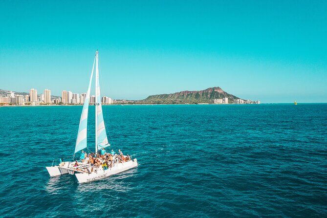 Snorkeling Adventure at Turtle Canyon - Analyzing the Value