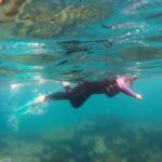 Snorkeling Adventure Cabo Pulmo - Exploring Cabo Pulmo’s Marine Sites