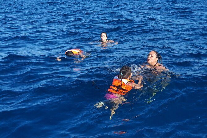 snorkeling adventure - What to Expect During the Snorkeling Experience