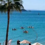 Snorkeling and Sunset Kayaking in La Paz - Who Will Love This Tour?