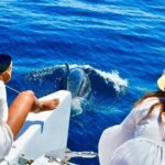 Snorkeling Catamaran Tour at Santa Maria Bay - Practical Details and Tips for Booking