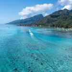 Snorkeling excursion and encounter with marine fauna in Moorea - Why This Tour Offers Outstanding Value