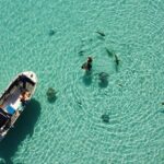 Snorkeling excursion, discovery of the lagoon, small group. - An In-Depth Look at the Moorea Snorkeling Experience